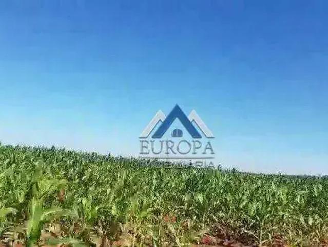 Fazenda para Venda em Bela Vista do Paraíso/PR Zona Rural