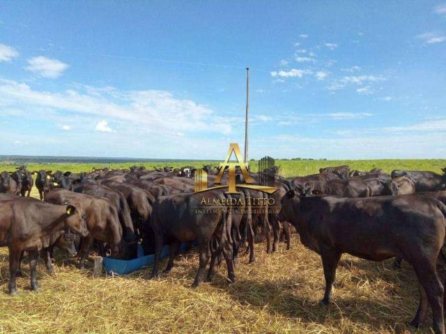 Fazenda para Venda em Bela Vista/MS Centro 1 Quartos