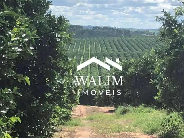 Fazenda para Venda em Belo Horizonte/MG Área Rural de Belo Horizonte 4 Quartos