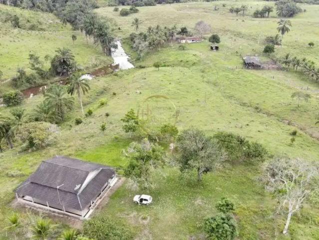 Fazenda para Venda em Belmonte/BA Santa Maria Eterna