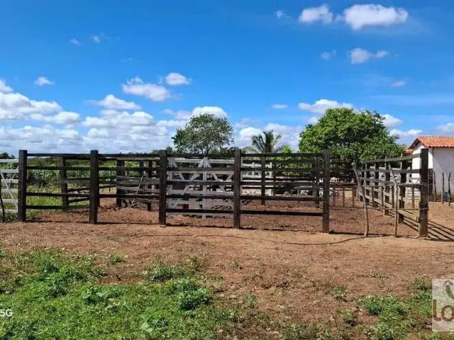 Fazenda para Venda em Biritinga/BA Zona Rural 4 Quartos