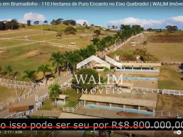 Fazenda para Venda em Brumadinho/MG Zona Rural 3 Quartos