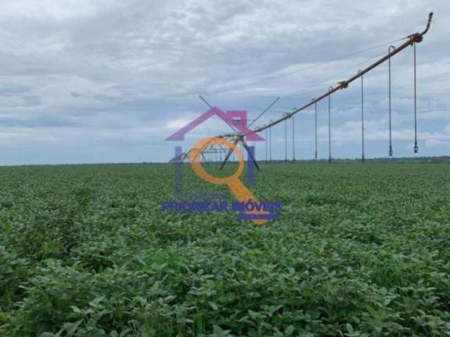 Fazenda para Venda em Brasilândia de Minas/MG Zona Rural 3 Quartos