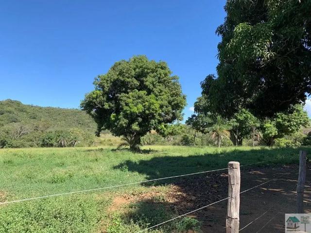 Fazenda para Venda em Brasília/DF Planaltina