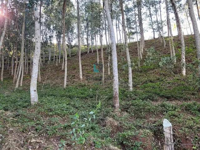 Fazenda para Venda em Brazópolis/MG Centro 3 Quartos