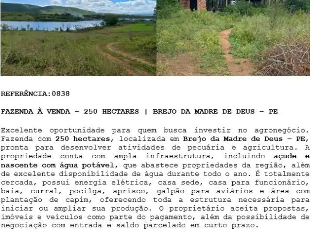 Fazenda para Venda em Brejo da Madre de Deus/PE Zona Rural
