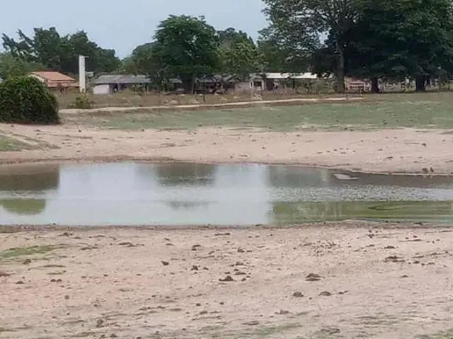 Fazenda para Venda em Brejinho de Nazaré/TO Zona Rural