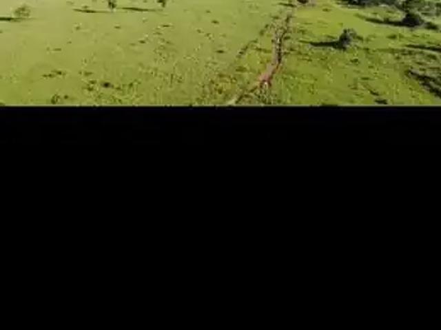 Fazenda para Venda em Buriti Alegre/GO Zona Rural