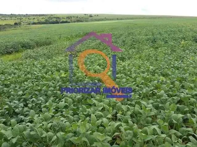 Fazenda para Venda em Buriti de Goiás/GO Área Rural de Buriti de Goiás 3 Quartos