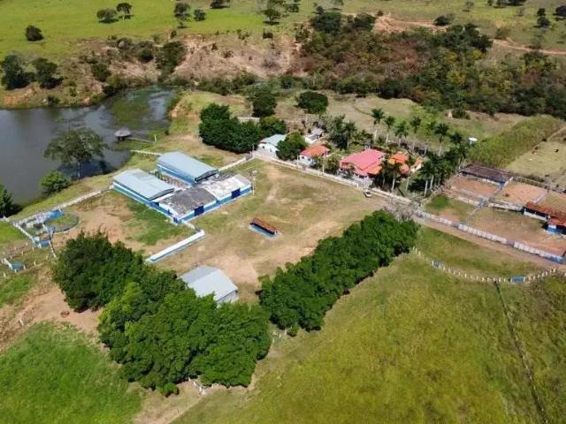 Fazenda para Venda em Buritis/MG Zona Rural