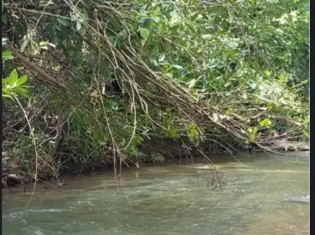 Fazenda para Venda em Buritis/MG Zona Rural