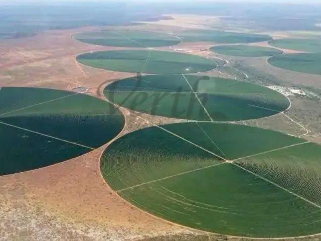 Fazenda para Venda em Buritizeiro/MG Centro 10 Quartos