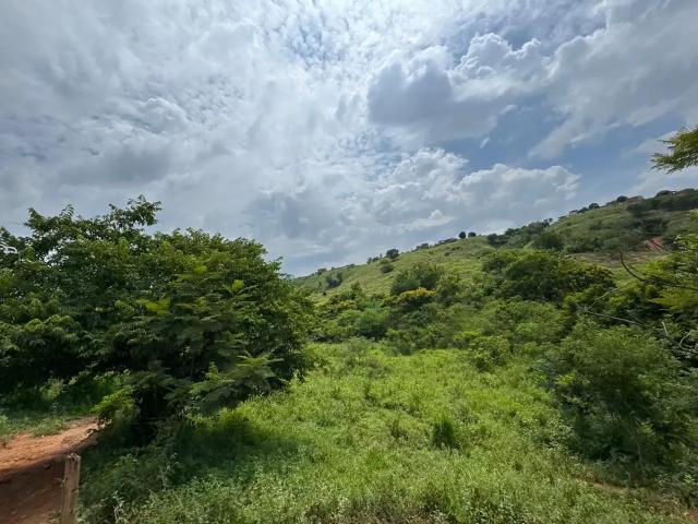 Fazenda para Venda em Governador Valadares/MG Centro