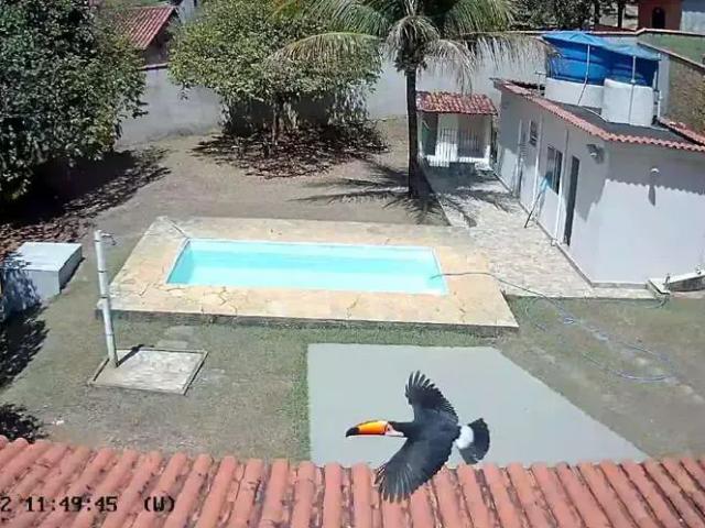 Fazenda para Venda em Goianá/MG Shangri lá 3 Quartos
