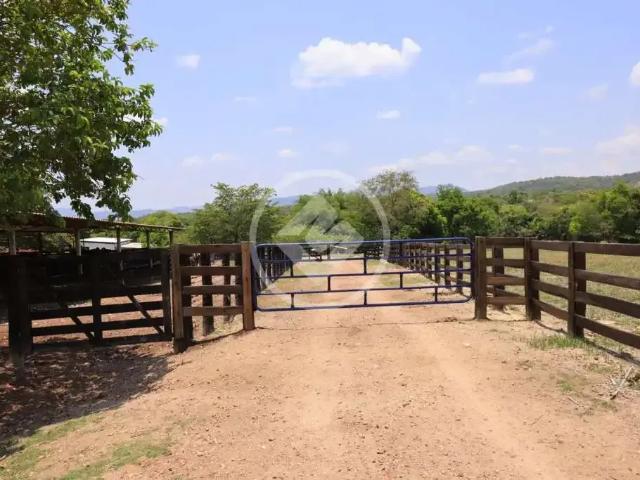 Fazenda para Venda em Goianésia/GO Jardim Por do Sol
