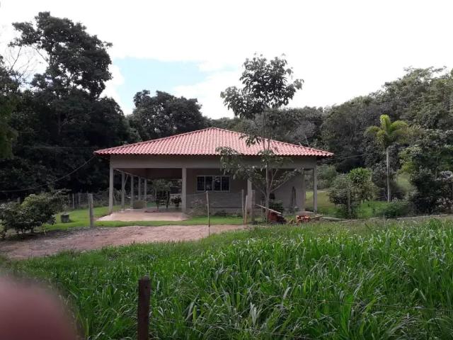 Fazenda para Venda em Goiânia/GO Jardim Nova Esperança