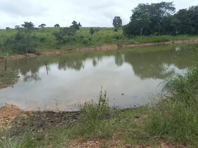 Fazenda para Venda em Goiânia/GO Jardim Nova Esperança