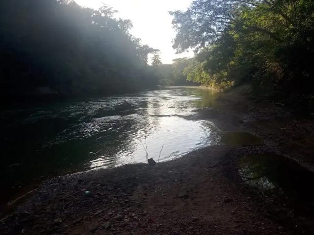 Fazenda para Venda em Goiânia/GO Jardim Nova Esperança