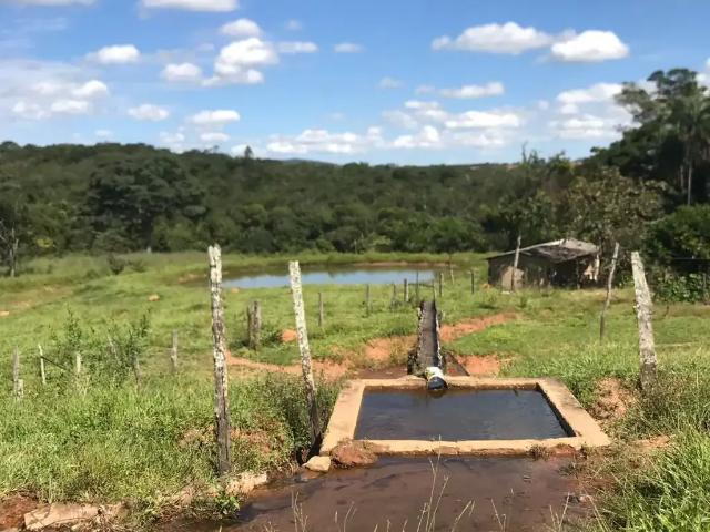 Fazenda para Venda em Goiânia/GO Jardim Nova Esperança