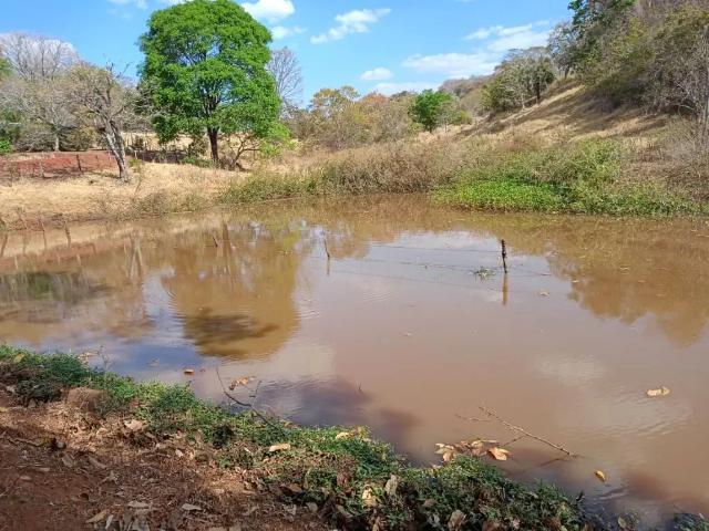 Fazenda para Venda em Goiânia/GO Setor Central