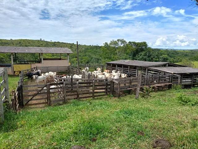 Fazenda para Venda em Goiânia/GO Setor Centro Oeste