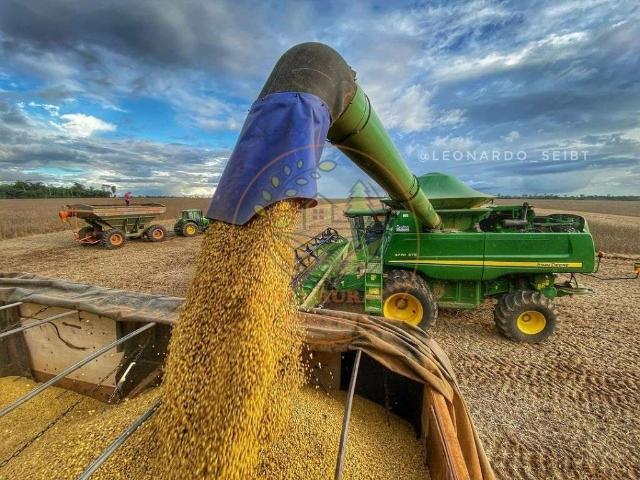 Fazenda para Venda em Goiás/GO Centro