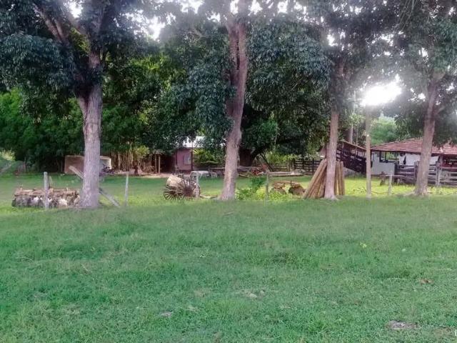 Fazenda para Venda em Goiás/GO Centro