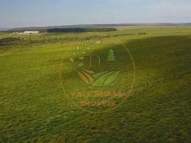 Fazenda para Venda em Goiás/GO Centro