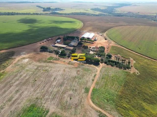 Fazenda para Venda em Goiás/GO Setor Central 5 Quartos