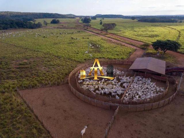 Fazenda para Venda em Goiatins/TO Zona Rural 1 Quartos