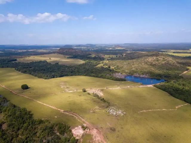 Fazenda para Venda em Goiatins/TO Zona Rural 3 Quartos