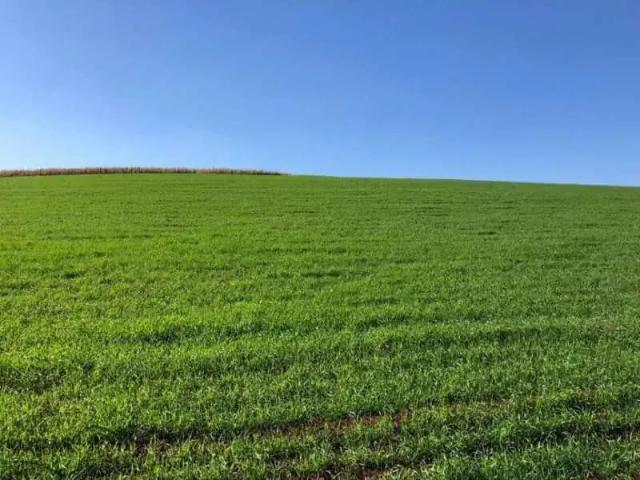 Fazenda para Venda em Goioxim/PR Zona Rural