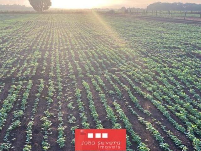 Fazenda para Venda em Gaúcha do Norte