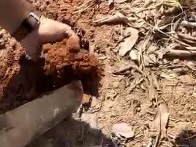 Fazenda para Venda em Gaúcha do Norte