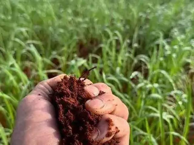 Fazenda para Venda em Gaúcha do Norte/MT Zona Rural