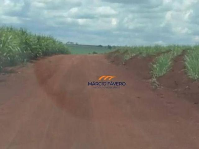 Fazenda para venda em Gavião Peixoto