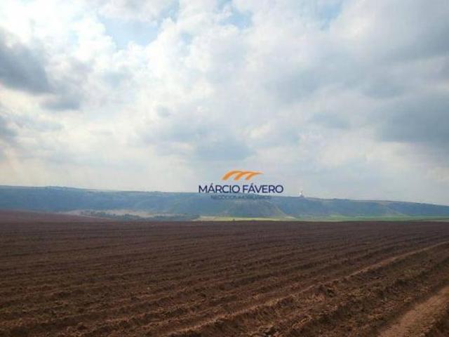 Fazenda para venda em Gavião Peixoto