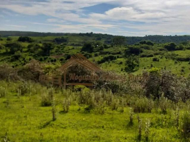 Fazenda para Venda em Garça/SP Zona Rural