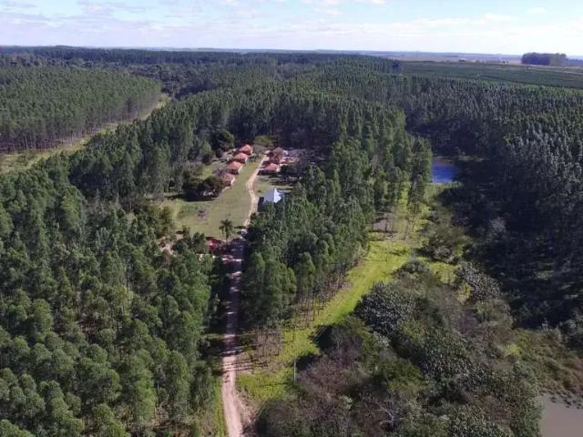 Fazenda para Venda em Garça/SP Centro