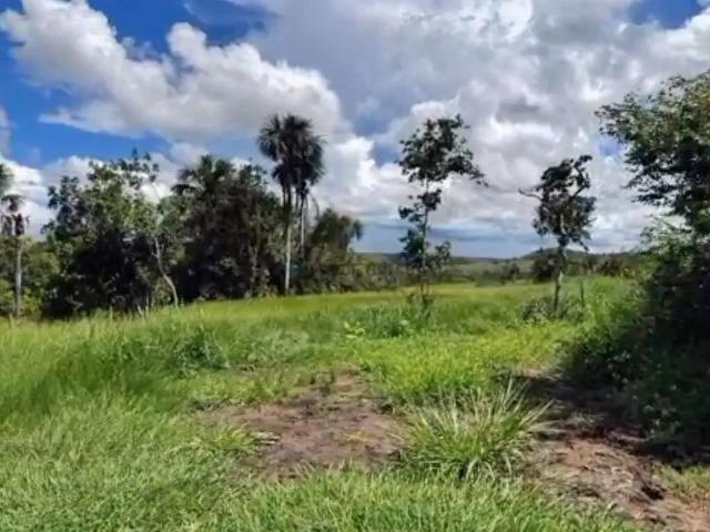 Fazenda para Venda em General Carneiro/MT Zona Rural 3 Quartos