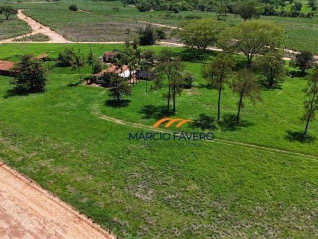 Fazenda para venda em General Salgado