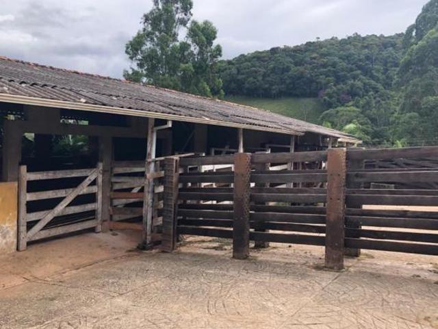 Fazenda para venda em Glaura, Ouro Preto