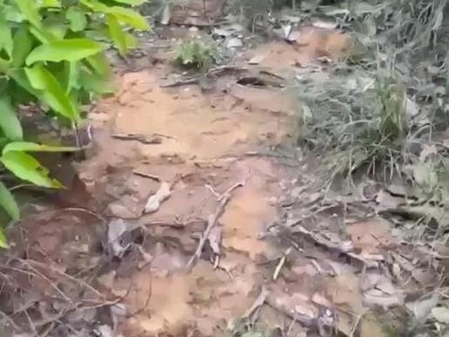 Fazenda para Venda em Grão Mogol, Zona Rural