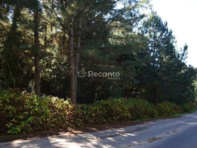 Fazenda para Venda em Gramado/RS Mato Queimado