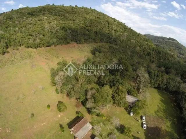 Fazenda para Venda em Gramado/RS Centro