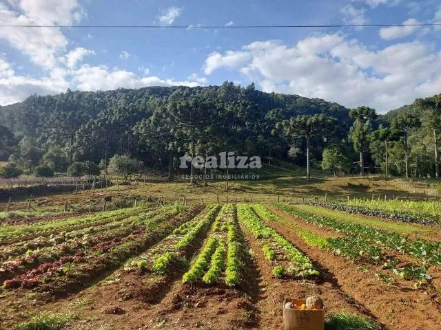 Fazenda para Venda em Gramado/RS Linha Ávila