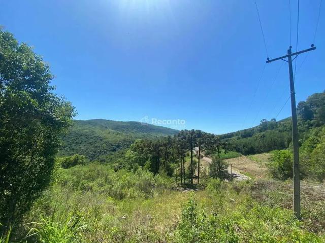 Fazenda para Venda em Gramado/RS Linha Ávila