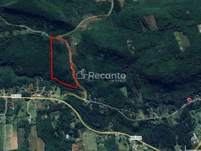Fazenda para Venda em Gramado/RS Linha Ávila
