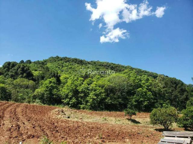 Fazenda para Venda em Gramado/RS Linha Bonita
