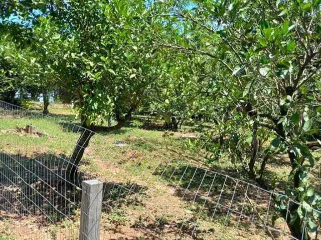 Fazenda para Venda em Gravataí/RS Costa do Ipiranga 3 Quartos